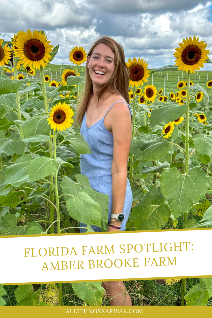 Florida Farm Spotlight: Amber Brooke Farm - All Things Karissa